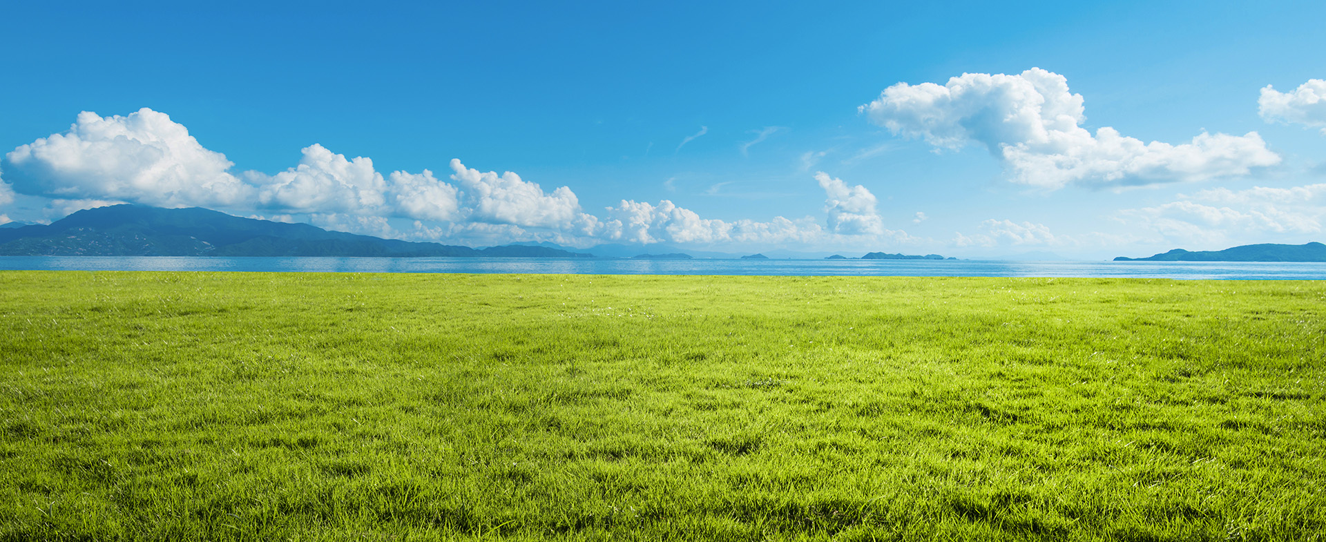 Farm First assurance scheme | LRQA UK